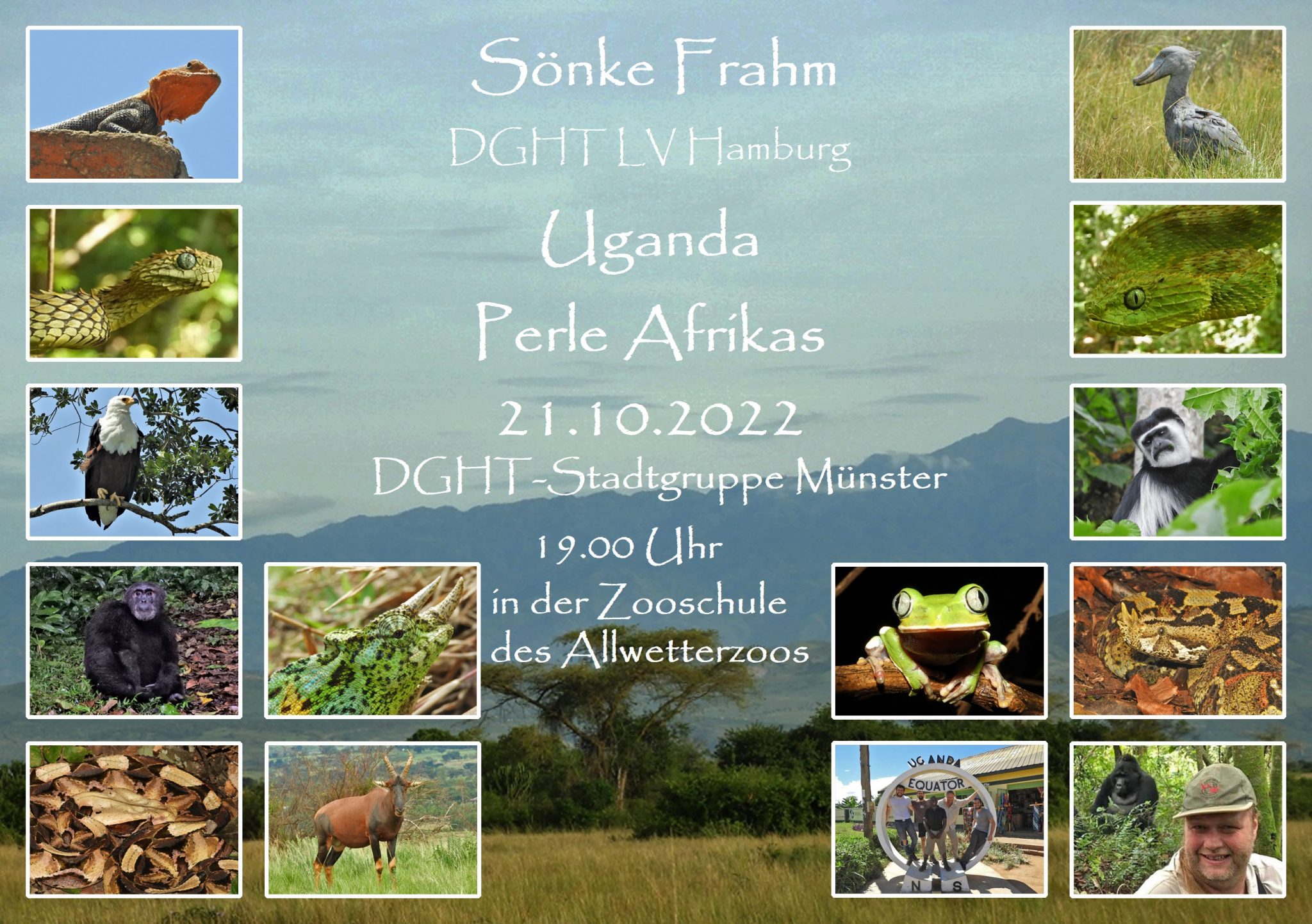 SG Münster - Eine Untergruppierung der DGHT